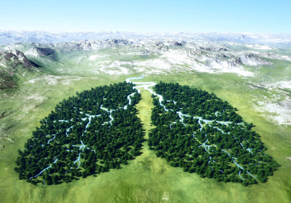 Careers - AECI Group